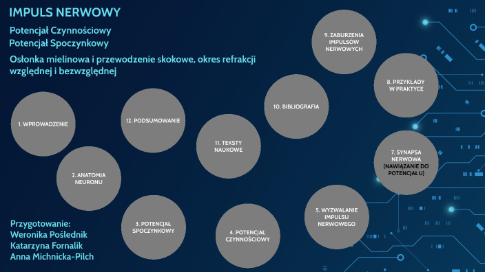 IMPULS NERWOWY by Anna Michnicka-Pilch on Prezi