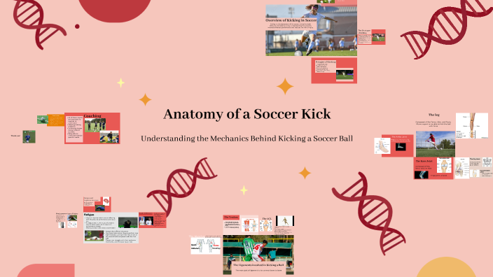 Anatomy of a Soccer Kick by Kelsey Mackay on Prezi