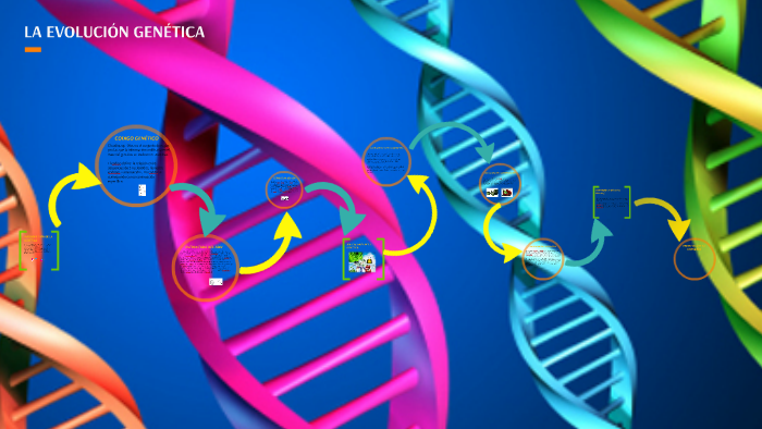 EVOLUCIÓN GENÉTICA by Miguel Jimenez Bernat on Prezi