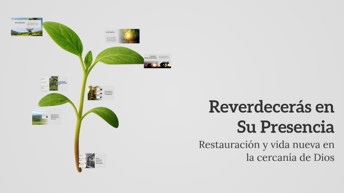 Reverdecerás en Su Presencia by José Santos on Prezi