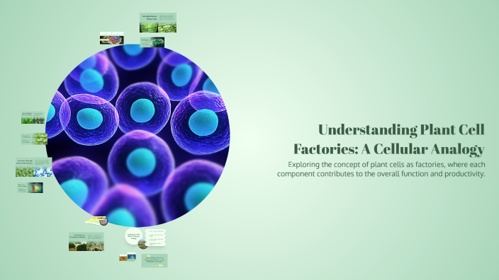 Understanding Plant Cell Factories: A Cellular Analogy by Owen ...