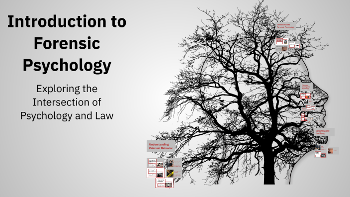 Introduction to Forensic Psychology by Stephanie Skewes on Prezi