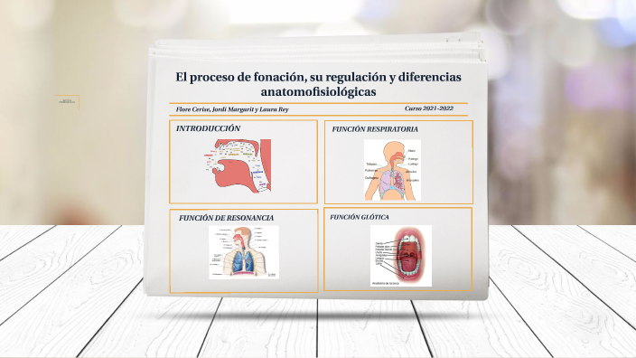 Proceso de fonación by Laura Rey on Prezi