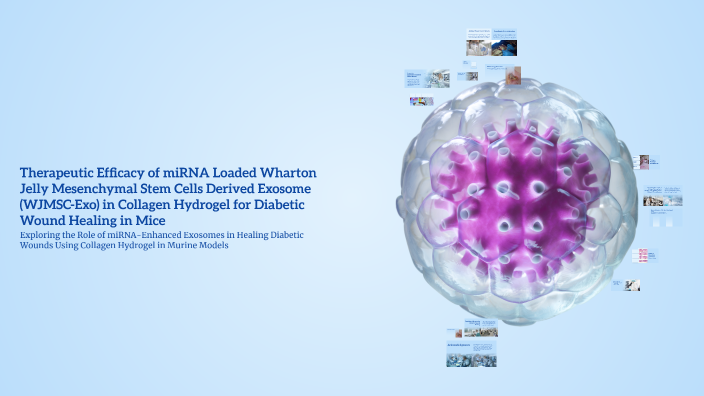 Therapeutic Efficacy of miRNA Loaded Wharton Jelly Mesenchymal Stem ...
