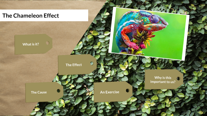 The Chameleon Effect by Katelyn Hertel on Prezi