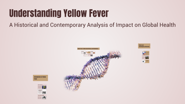 Understanding Yellow Fever by Taylor Zipperer on Prezi