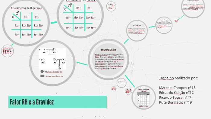 Fator RH e a Gravidez by on Prezi