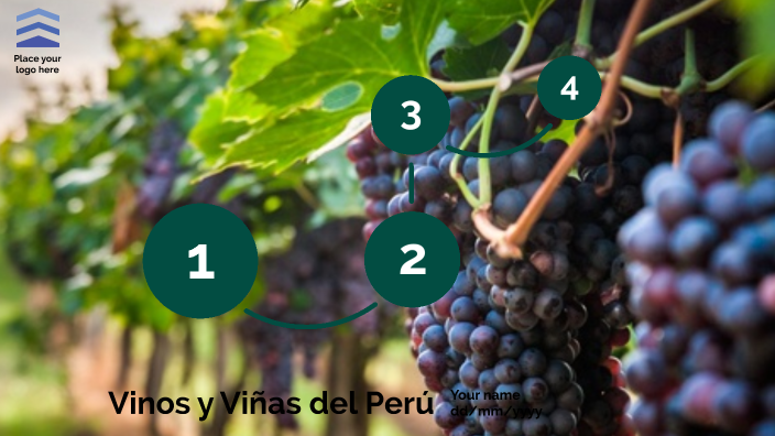 vinos y viña del perú by fiorella corbacho on Prezi
