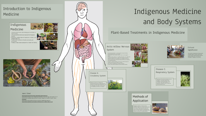 Indigenous Medicine and Body Systems by Ryker Dunn on Prezi