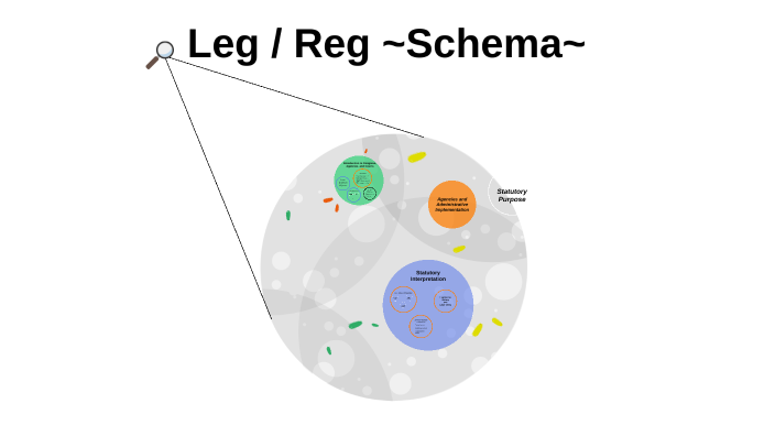 Leg Reg - Cognitive Schema by Molly Schmidt on Prezi