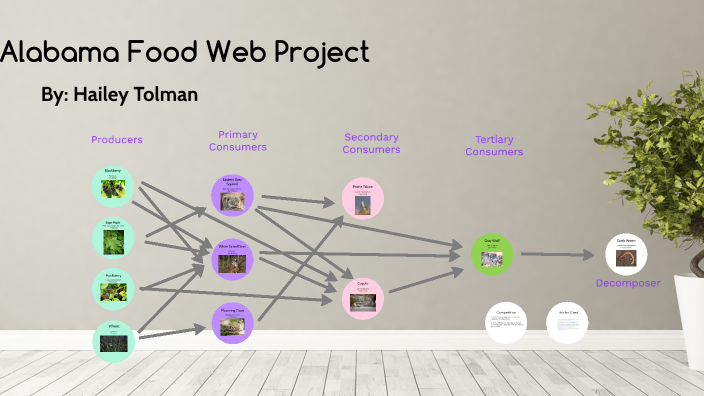 Alabama Food Web Project by Hailey Tolman on Prezi