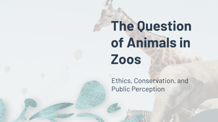 The Question of Animals in Zoos by Omairy suriel on Prezi