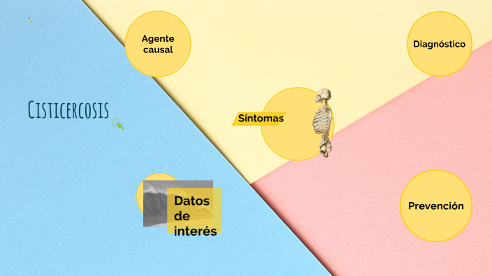 Cisticercosis by agustina nasazzi on Prezi