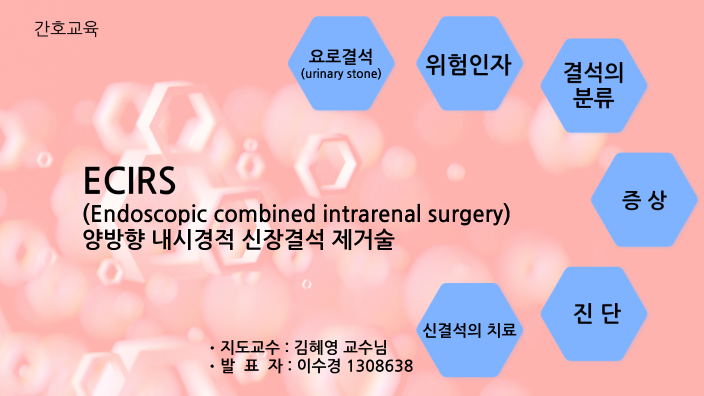 ECIRS-1 by 수경 이 on Prezi