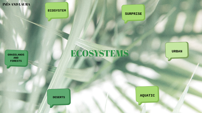 ECOSYSTEMS by ines redruello on Prezi