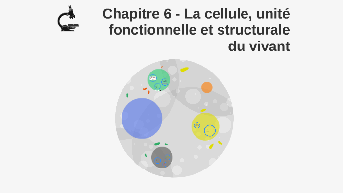 Chapitre 6 - La cellule, unité fonctionnelle et structurale by cecile ...