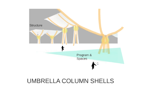 UMBRELLA COLUMN SHELLS by Bridget Geissler on Prezi