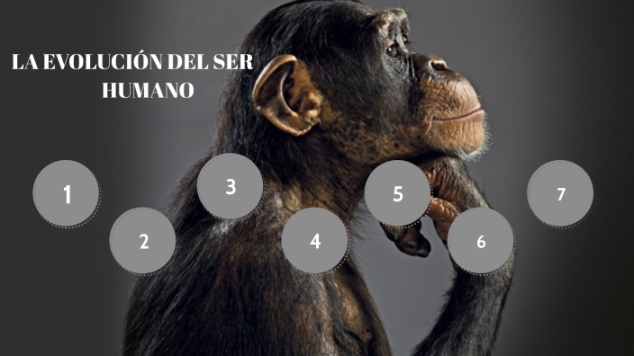 la evolucion del ser humano by Ana María Romero Camacho on Prezi