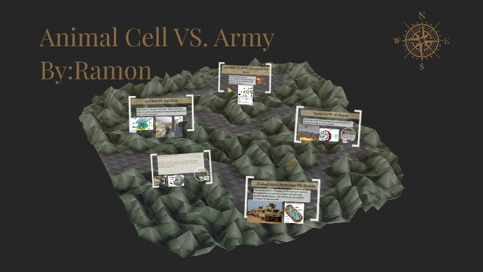 Animal Cell VS. Army by Ramon Volkert