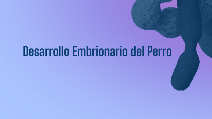 Desarrollo Embrionario del Perro by Desiree Rivas on Prezi