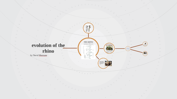 evolution of the rhino by david mazzone on Prezi