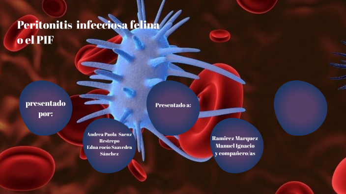 Peritonitis infecciosa felina o el PIF by andrea paola saenz on Prezi