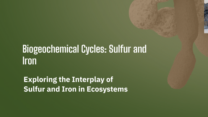 Biogeochemical Cycles: Sulfur and Iron by Adriana Barzola on Prezi