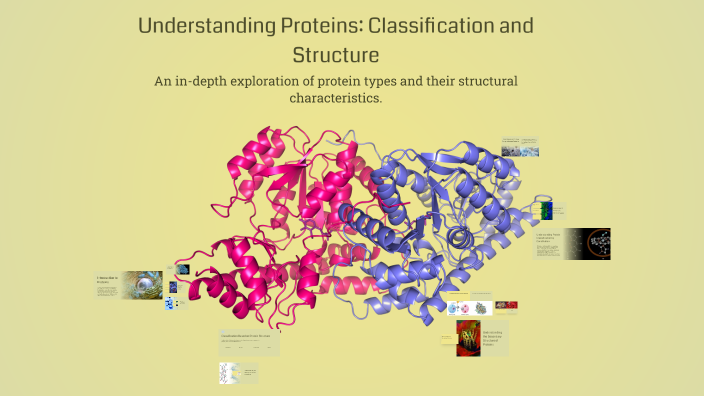 Understanding Proteins: Classification and Structure by shakira ...