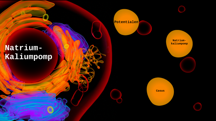 Natrium-Kaliumpomp by Daphne Nobel on Prezi