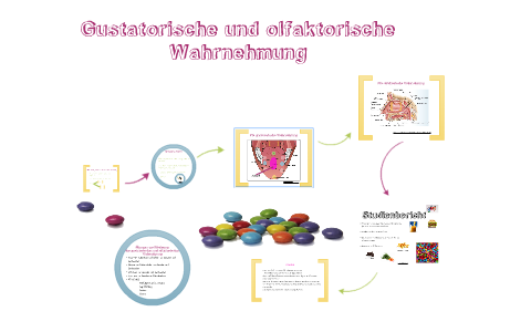 Olfaktorisch und gustatorisch by Johanna Bacher on Prezi
