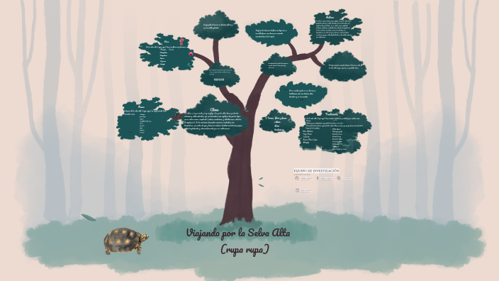 Viajando por la selva alta (Rupa Rupa) by Valerie Gonzales on Prezi