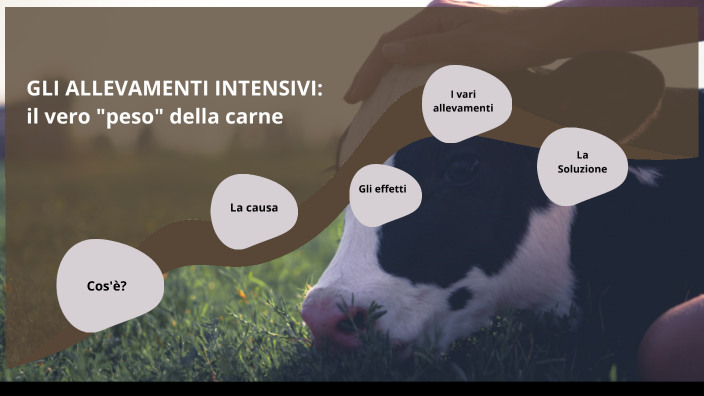 Gli allevamenti intensivi by Anna Molinaro on Prezi