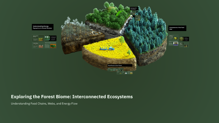 Exploring the Forest Biome: Interconnected Ecosystems by Corbin Brown ...