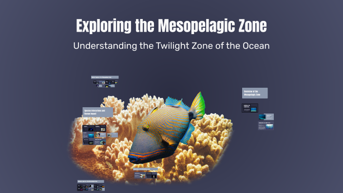 Exploring the Mesopelagic Zone by Leo Shang on Prezi