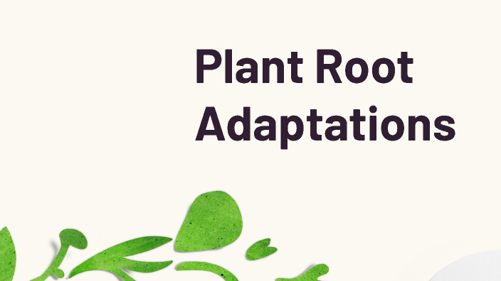 Plant Root Adaptations by Samantha Williams on Prezi