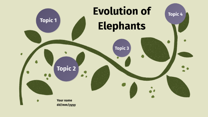 Elephant Evolutionary Timeline by Joshua Conlon on Prezi