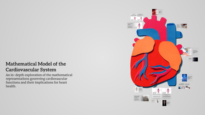 Mathematical Model of the Cardiovascular System by Nadia Com on Prezi