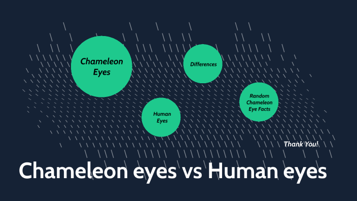 Lizard eyes vs Human eyes by Luis Paulino on Prezi