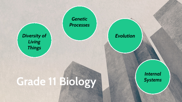 Grade 11 Bio Concept Map by Angela E on Prezi