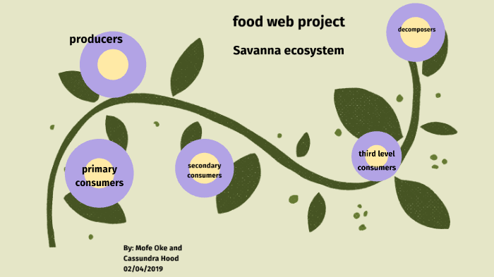 Food web project by mofe oke on Prezi