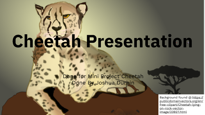 Cheetah Presentation by Joshua Durbin on Prezi