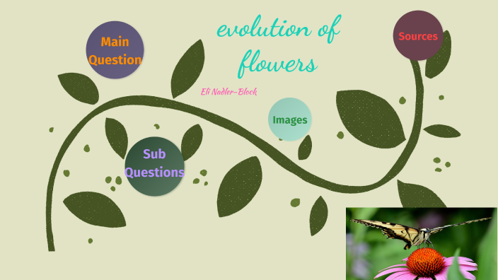 evolution of flowers by eli :D on Prezi