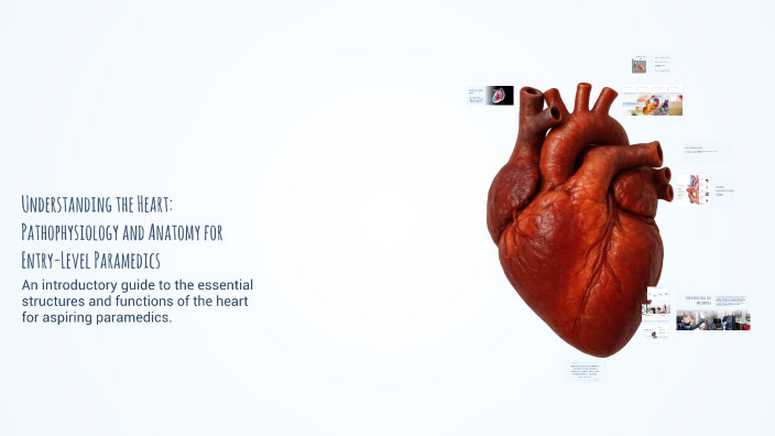 Understanding the Heart: Pathophysiology and Anatomy for Entry-Level ...