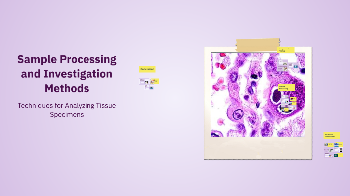 Sample Processing and Investigation Methods by HANA SALEM on Prezi