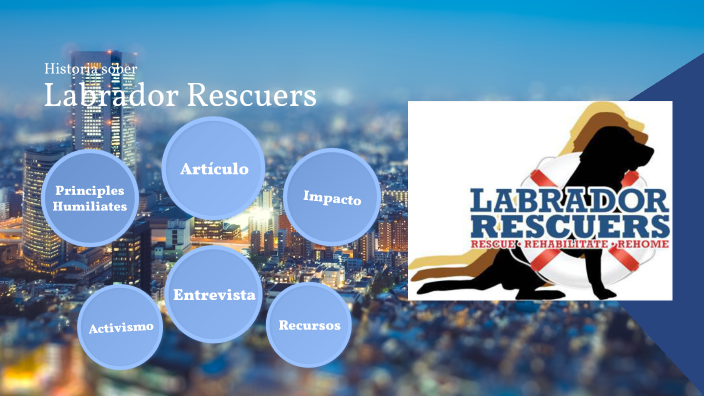 Labrador Rescuers by jaime montano on Prezi