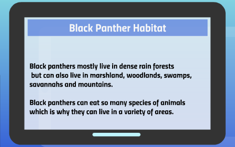 Black Panther Adaptation by YOUSEF ZAMIL on Prezi