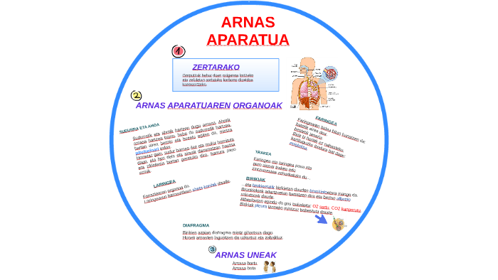 ARNAS APARATUA by Loreto C. on Prezi