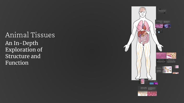 Animal Tissues by Gabriela Dolota on Prezi