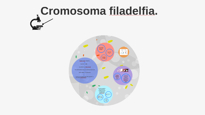 Cromosoma Filadelfia by Alexandra Arias on Prezi