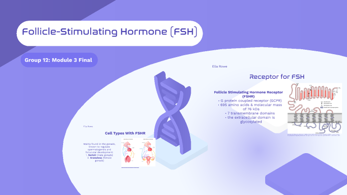 Module 3 Final Project by Ella Rowe on Prezi